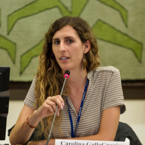 Team – The AVENGERS project